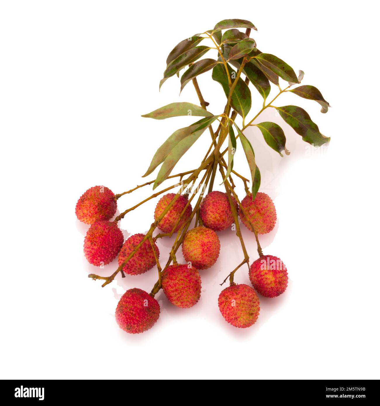 Fresh lychees isolated on white background Stock Photo - Alamy