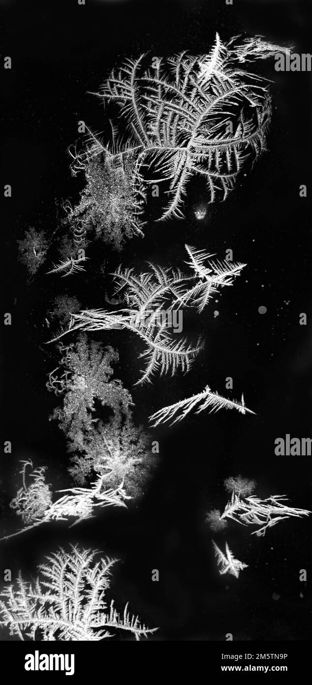 Delicate frost patterns on a window glass in winter on black Stock ...