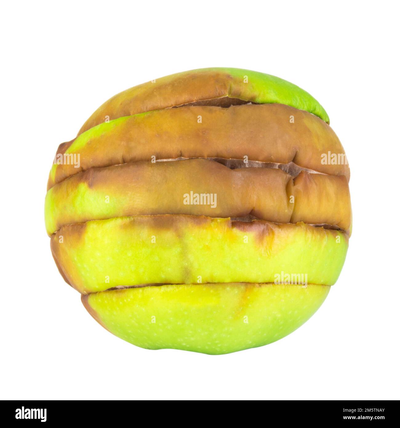 apple green slice Rotten isolated on white background Stock Photo - Alamy