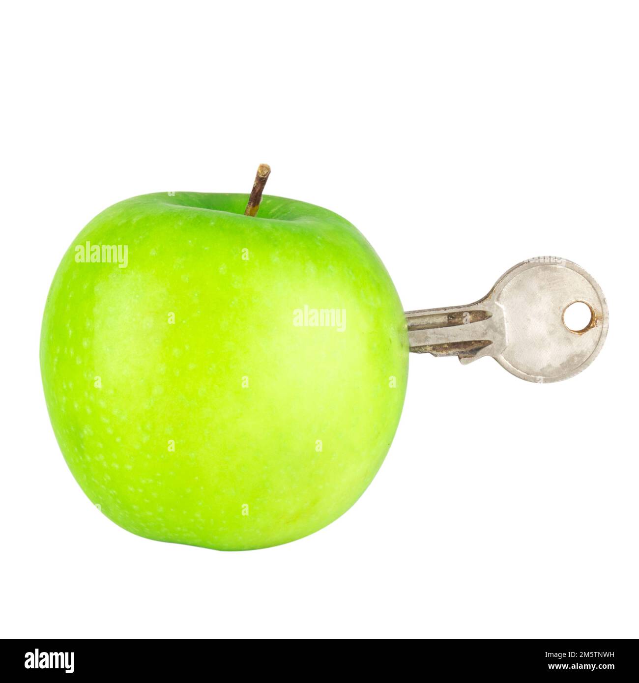 Food safety literacy Cut Out Stock Images & Pictures - Alamy