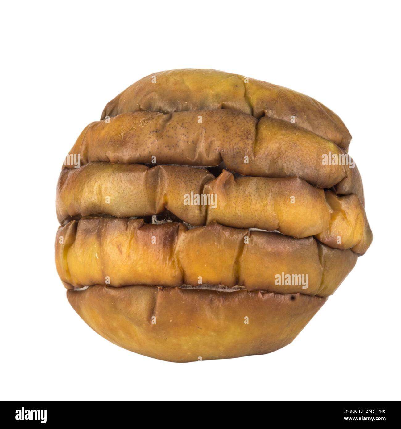 apple green dry rotten isolated white background Stock Photo - Alamy