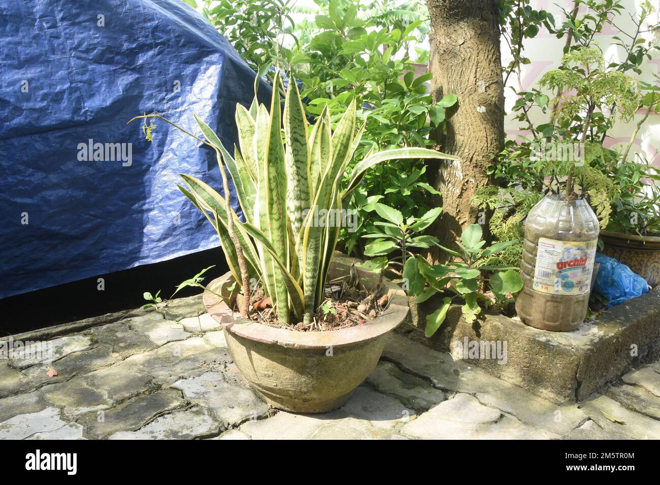 Human life hi-res stock photography and images - Alamy