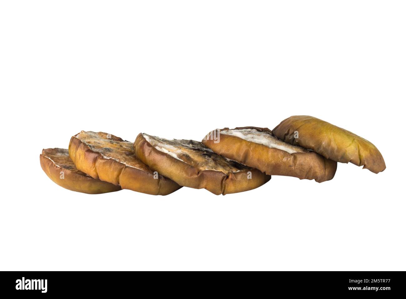 apple green dry rotten isolated white background Stock Photo - Alamy