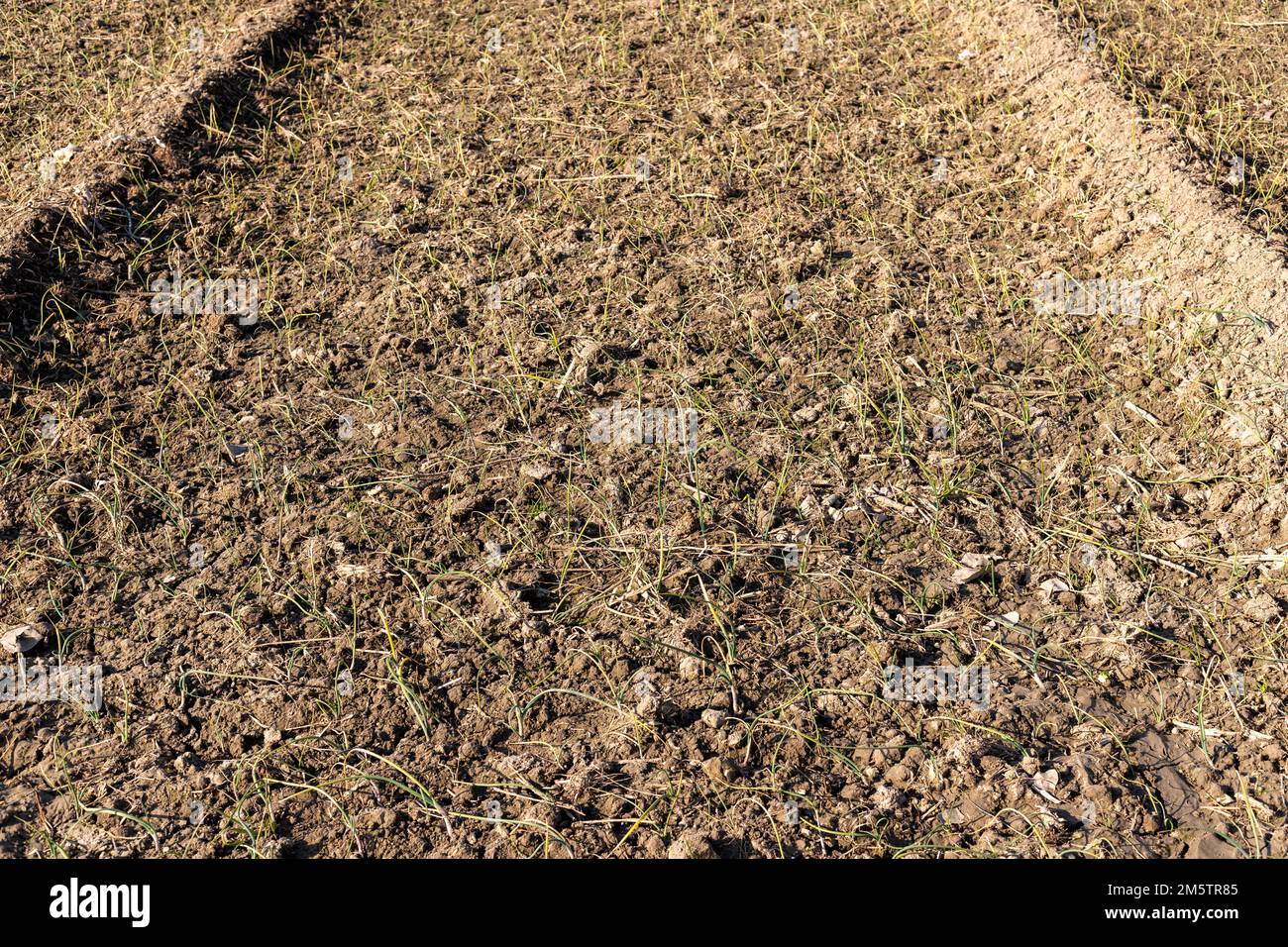 Early season planting hi-res stock photography and images - Alamy