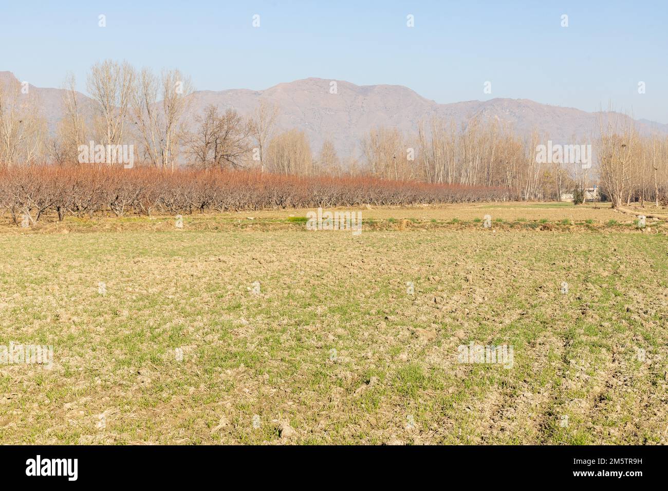 Beautiful landscape view of a fields in winter Stock Photo - Alamy