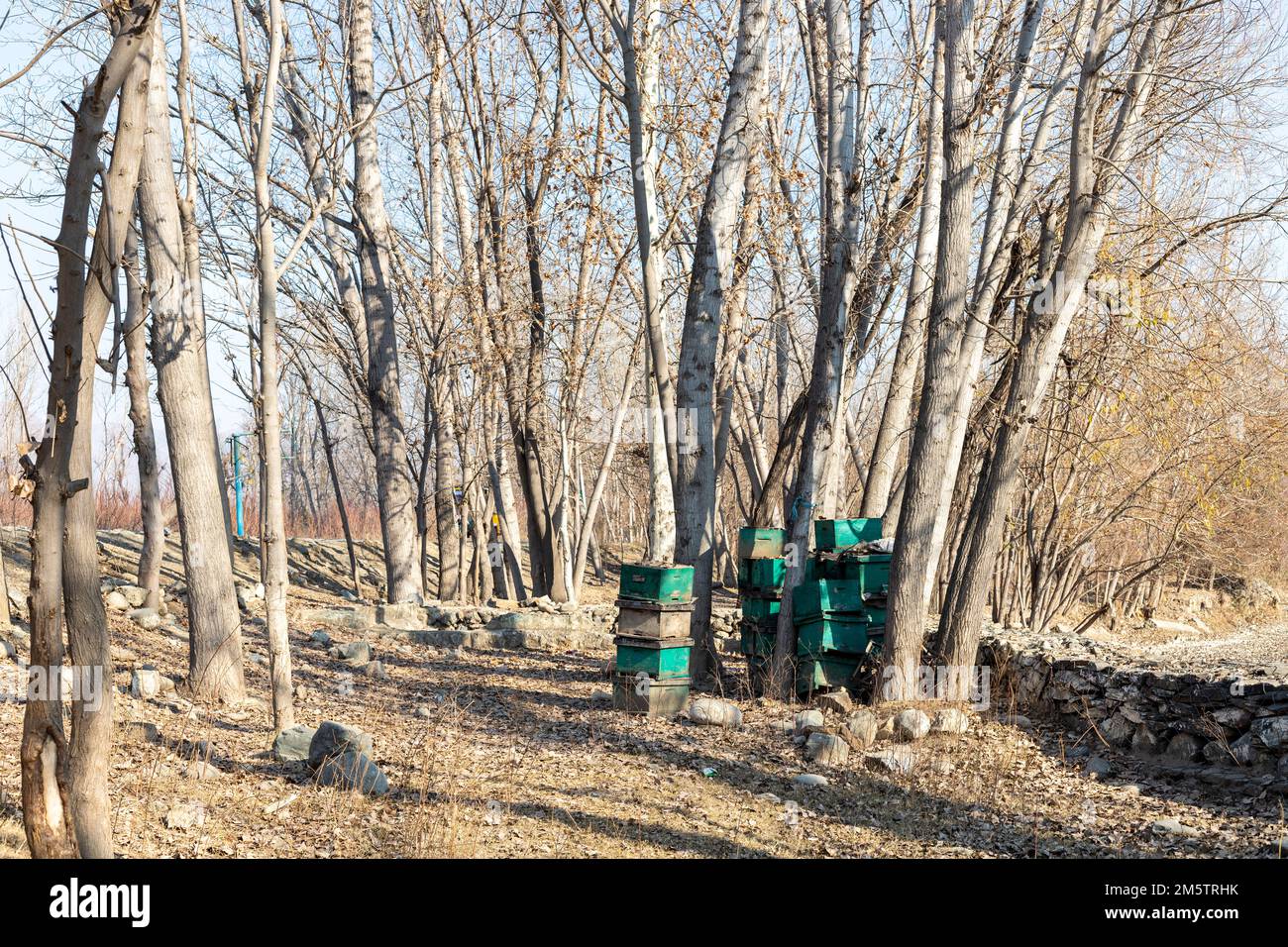 Old wooden beehives hi-res stock photography and images - Alamy