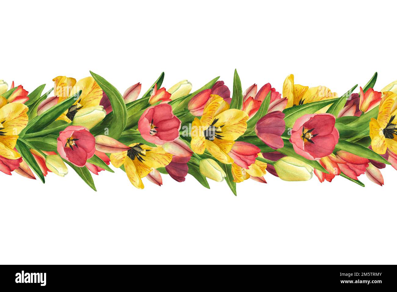 Seamless Garland Border with Tulips yellow and red isolated on white ...