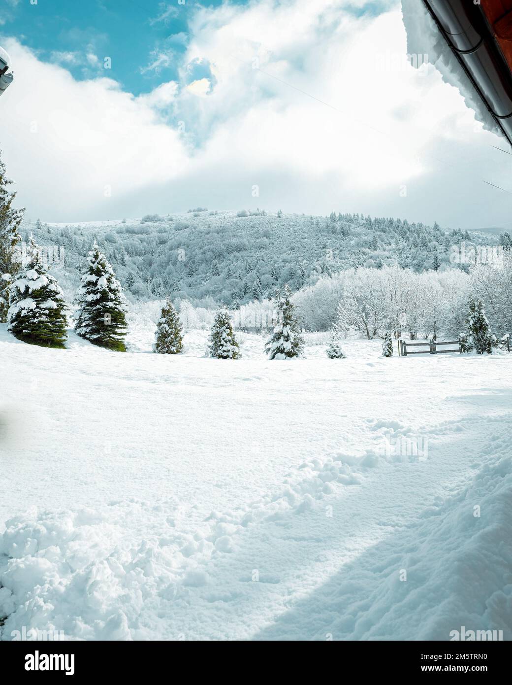 A vertical winter landscape with a thick layer of snow covering a hill ...