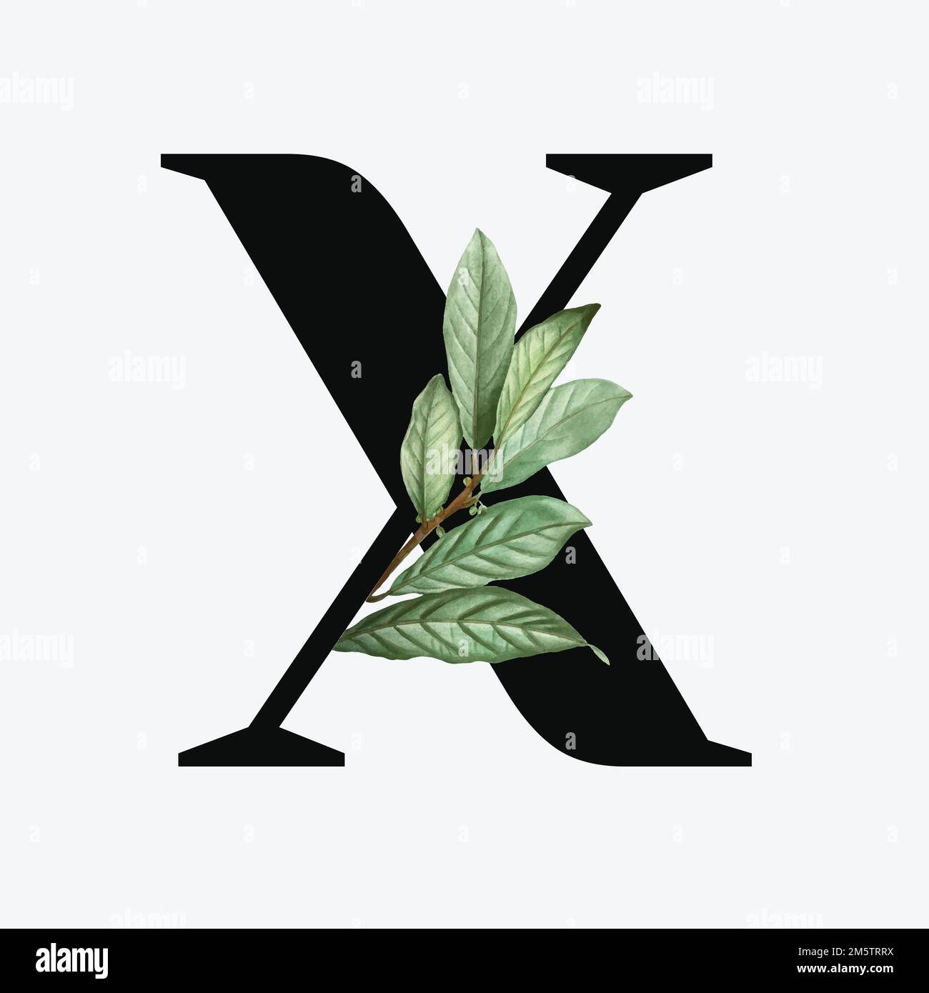 Capital letter x uppercase Stock Vector Images - Alamy