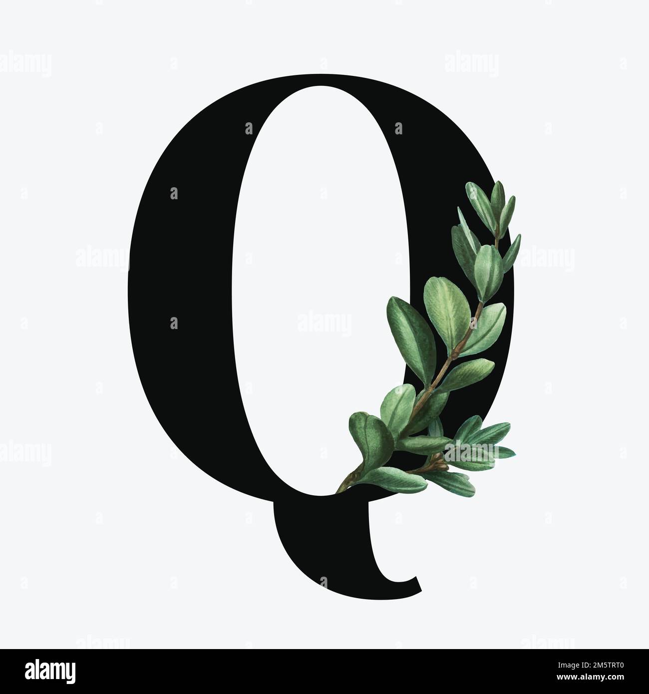 Botanical capital letter Q vector Stock Vector Image & Art - Alamy