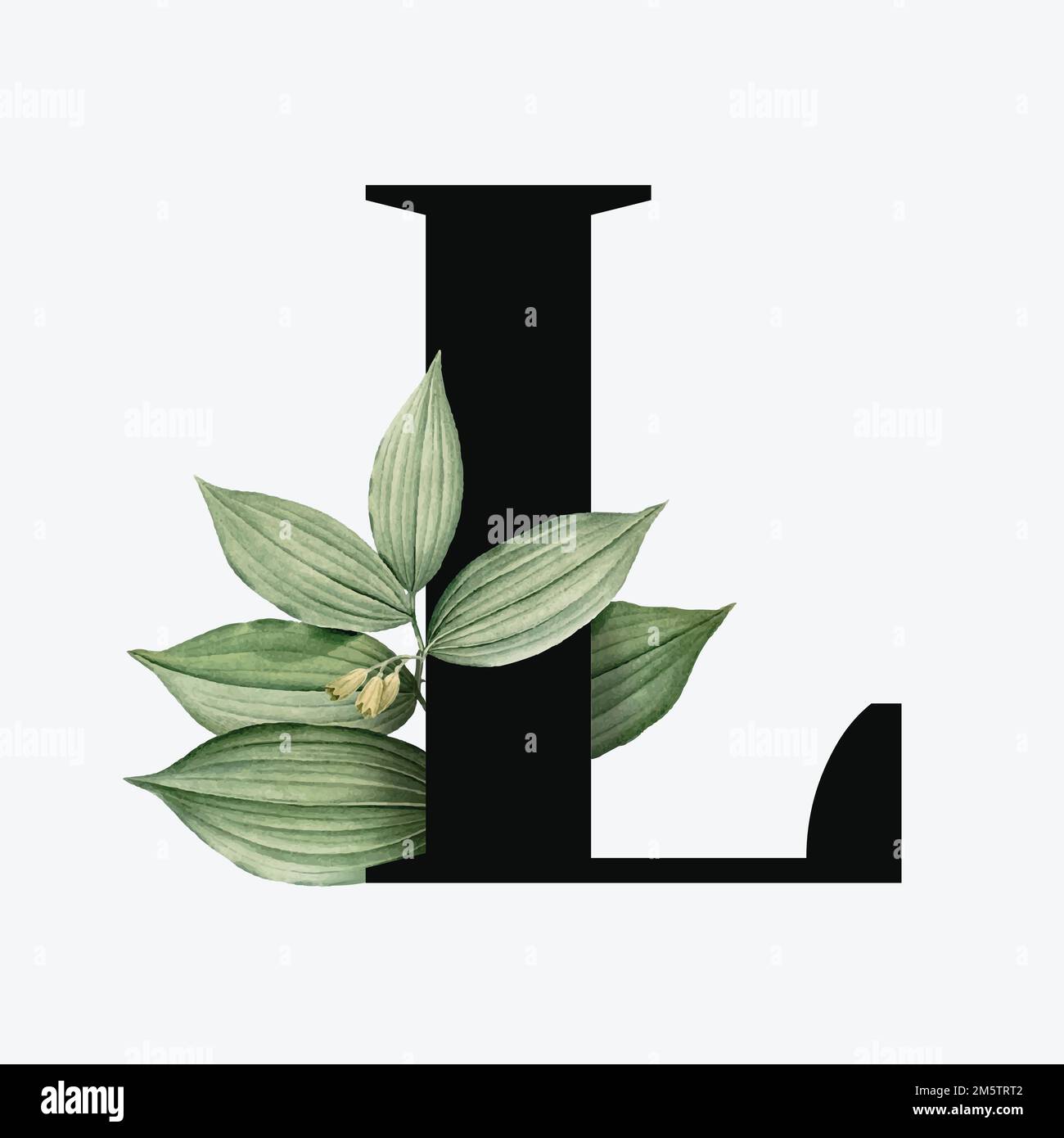 Botanical capital letter L vector Stock Vector Image & Art - Alamy