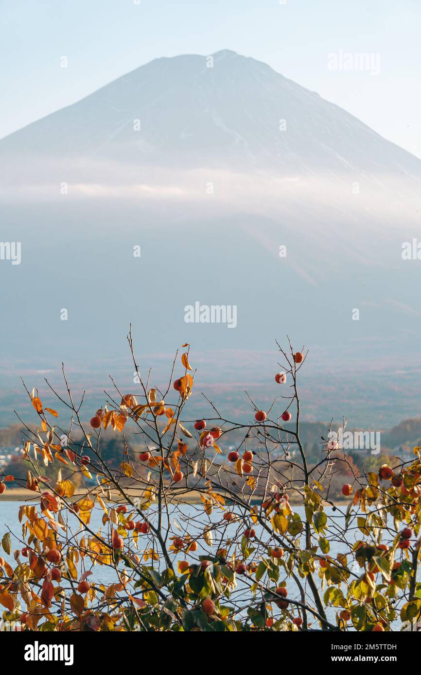 Fujisan landscapes hi-res stock photography and images - Alamy