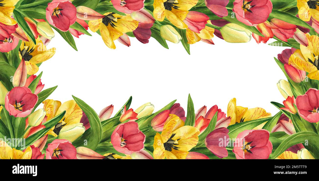 Frame with Tulips yellow and red. Watercolor banner. Watercolor hand ...