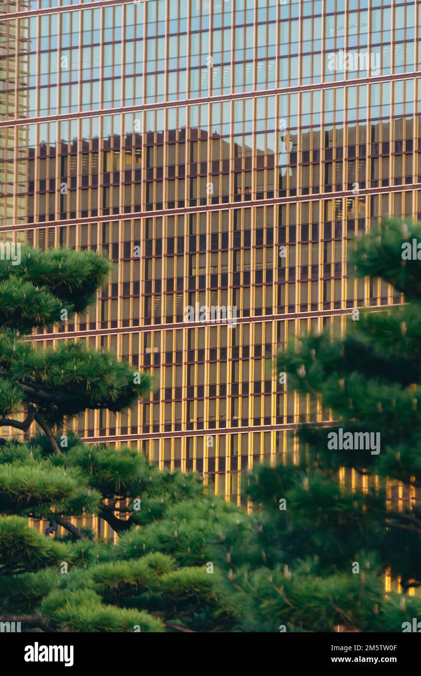 The contrast of buildings and trees Stock Photo - Alamy