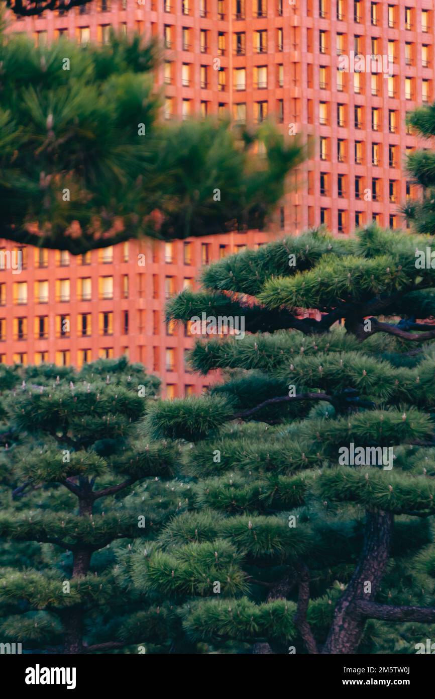 The contrast of buildings and trees Stock Photo - Alamy