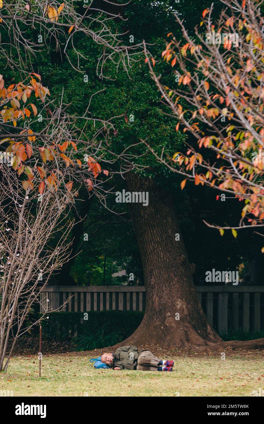Man sleeping under tree hi-res stock photography and images - Alamy