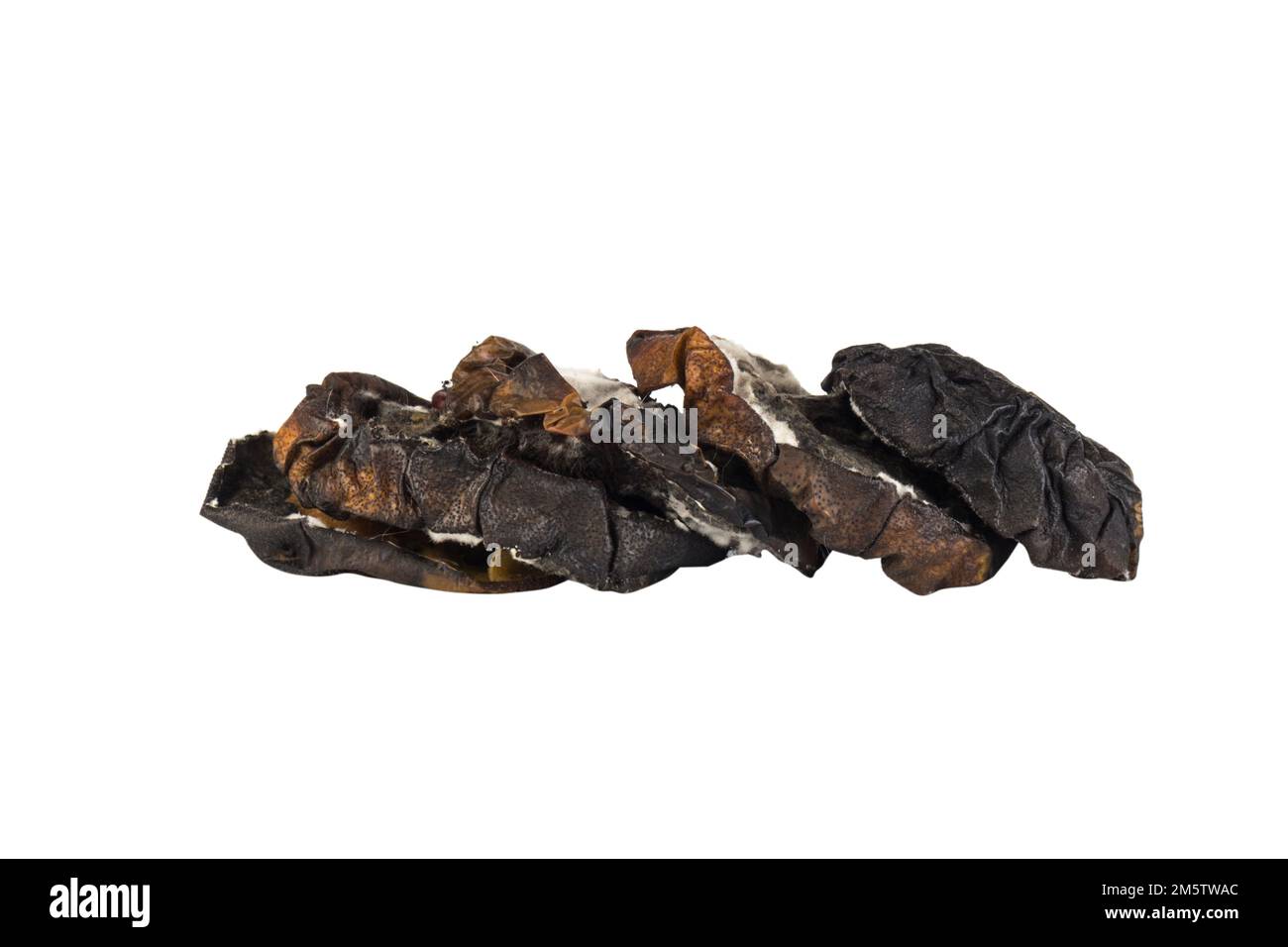 apple slice rot isolated on white background Stock Photo - Alamy