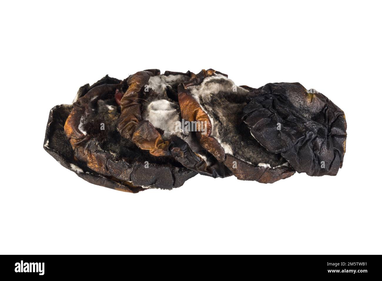 apple slice rot isolated on white background Stock Photo - Alamy