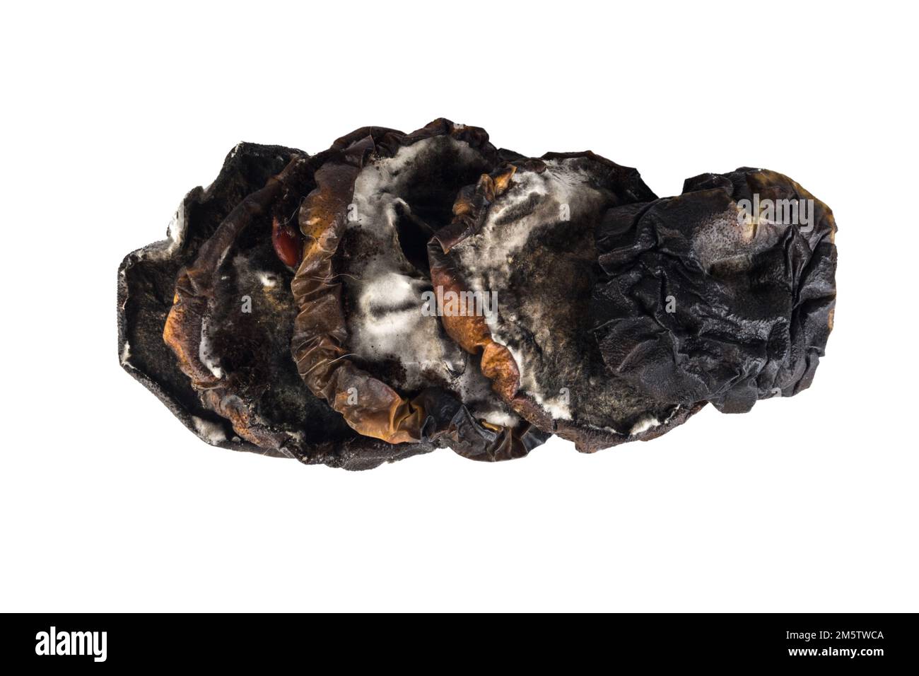 apple slice rot isolated on white background Stock Photo - Alamy