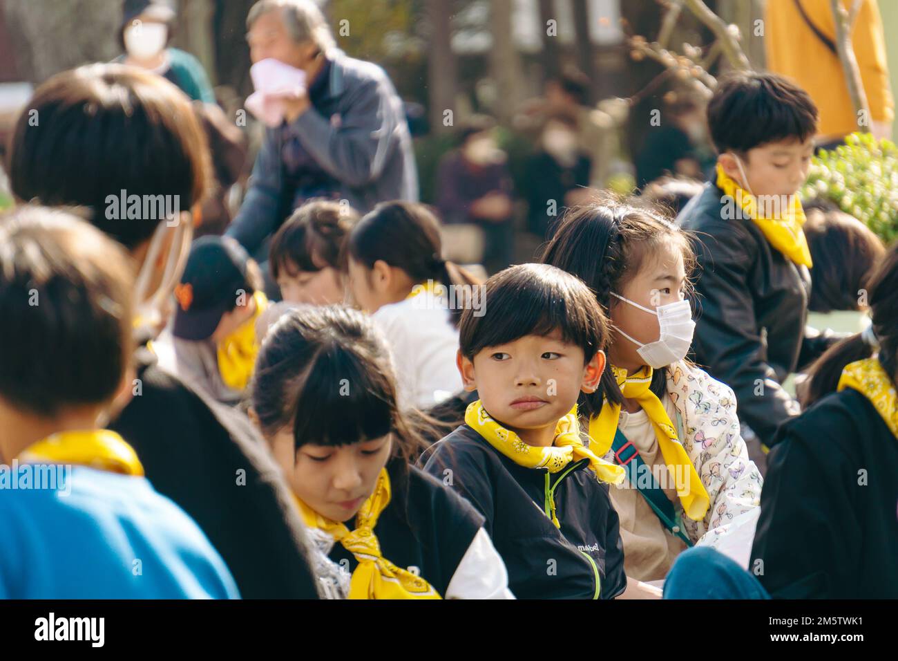 Elementary school students taking a break while on a trip to Sensoji ...