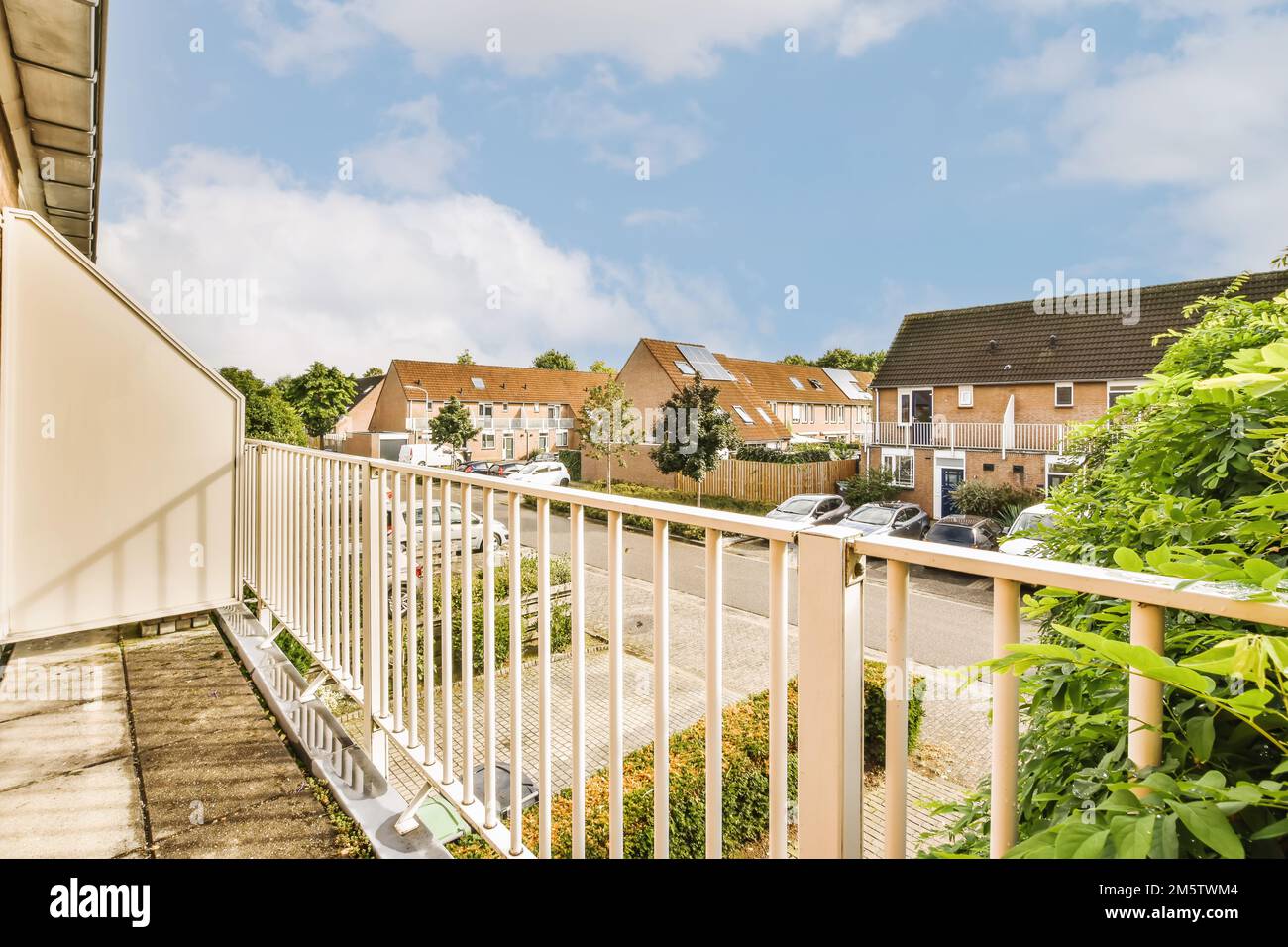 an outside area with houses in the background and green plants growing ...