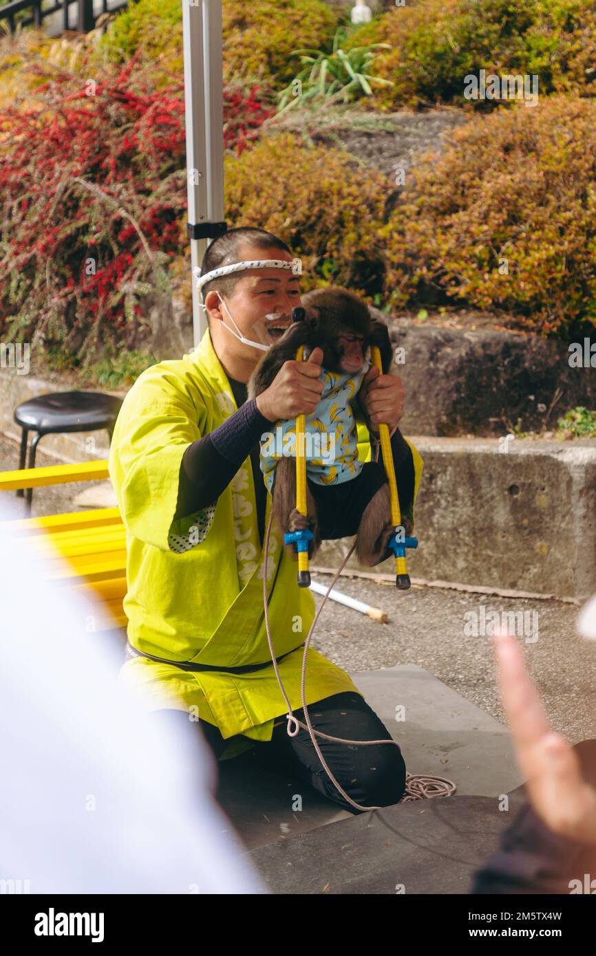 A traditional monkey tricks performance at Kawaguchiko Stock Photo - Alamy
