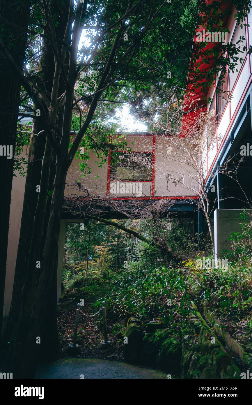 Bridge among trees hi-res stock photography and images - Alamy