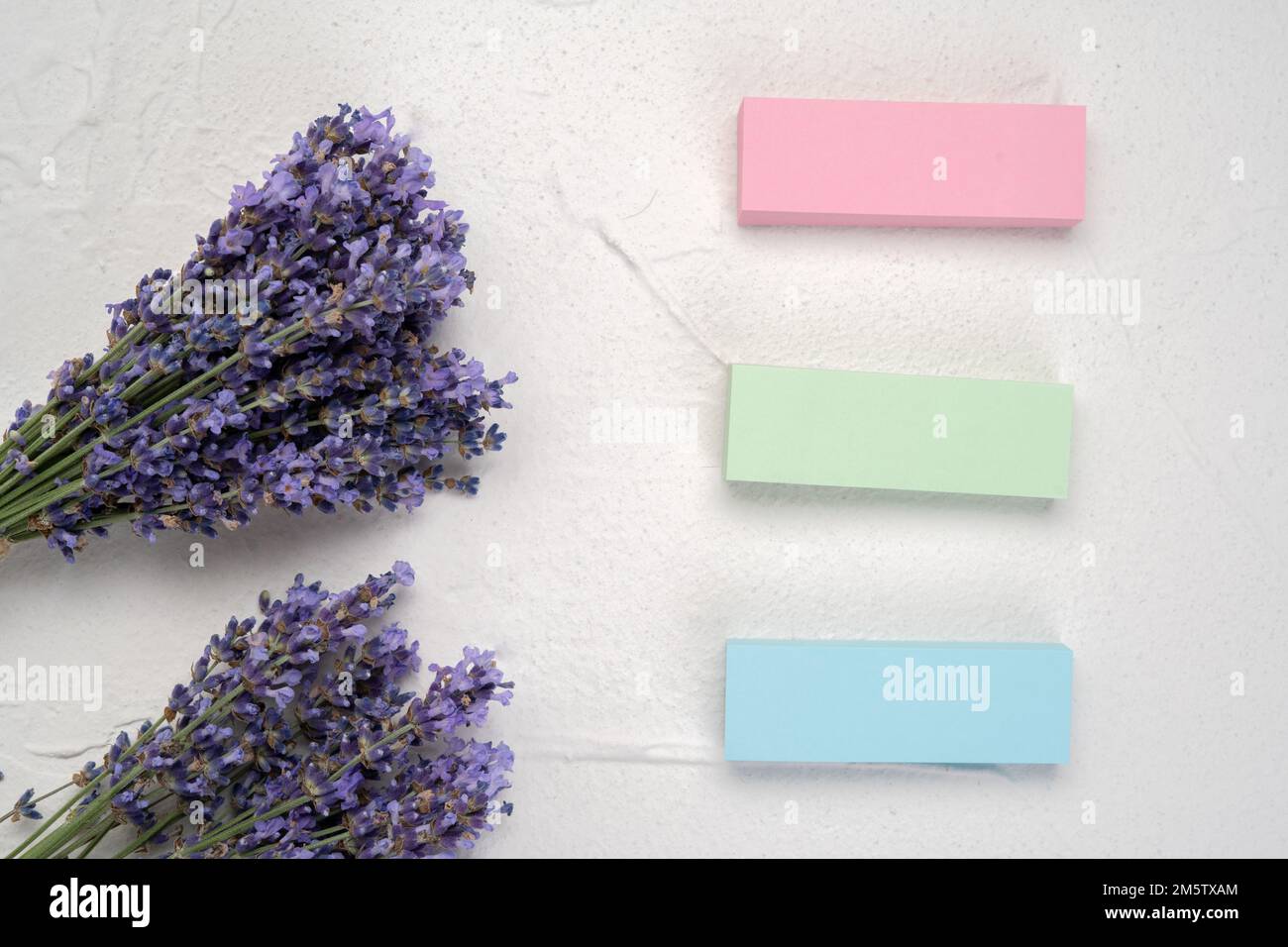 Bunch of fresh lavender flowers and stickers for text isolated on white ...