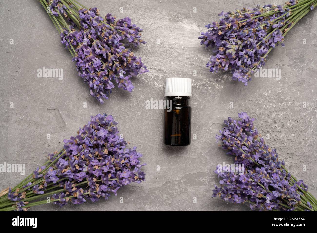 Lavender bouquet and essential oil on gray background. Lavender spa ...