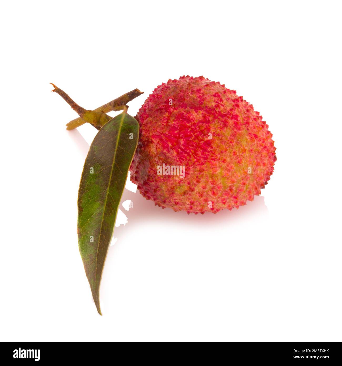 Fresh lychees isolated on white background Stock Photo - Alamy