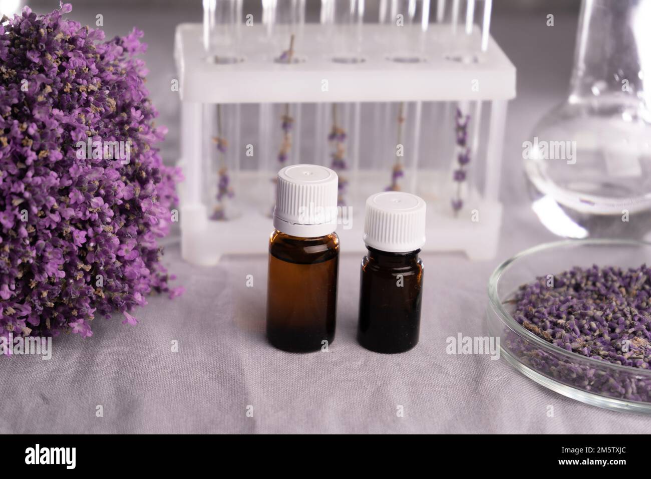 Research and development of lavender body care cosmetics. Lavender ...