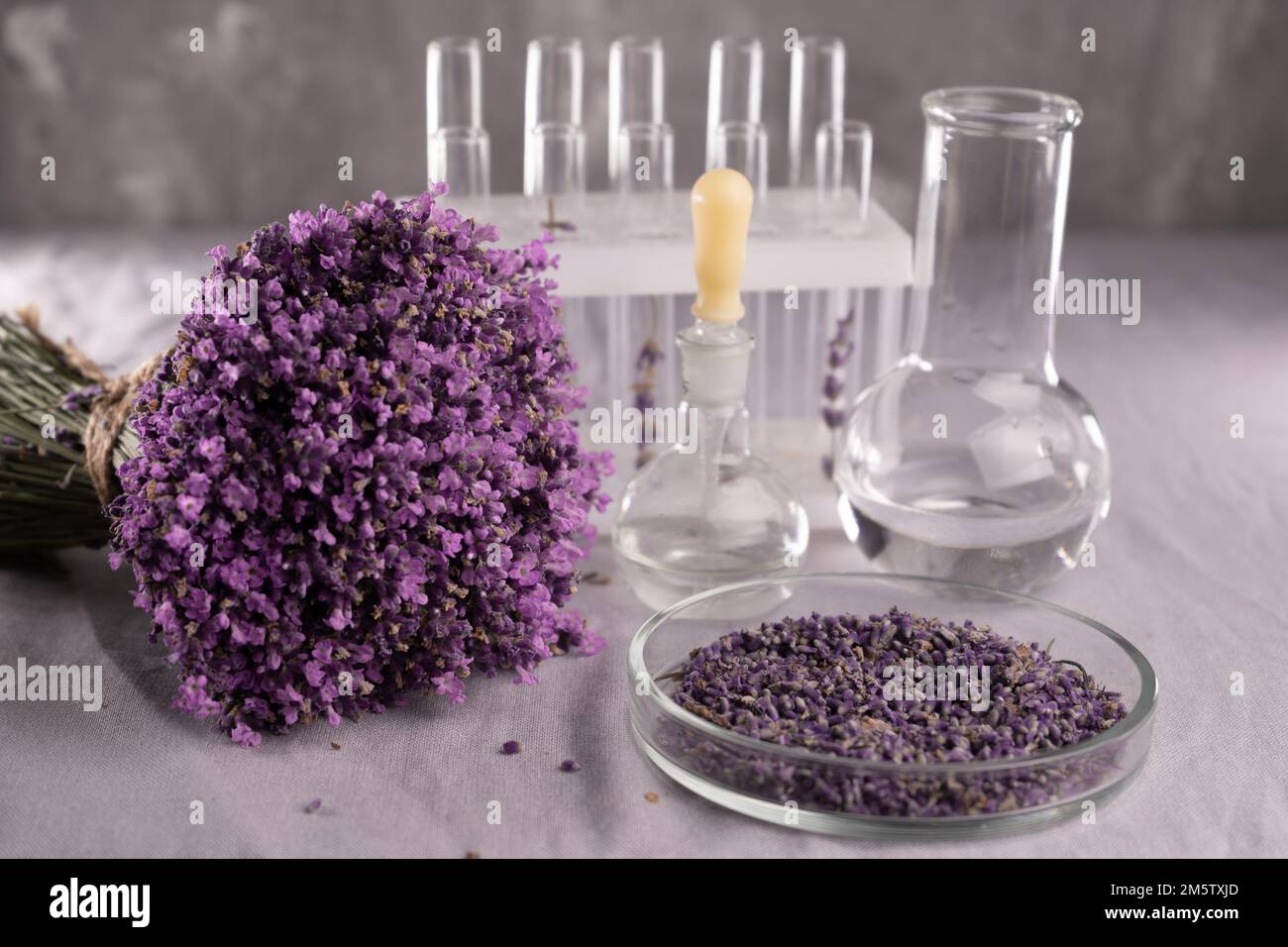 Purple lavender flowers with glass flask, vial and test tubes in ...