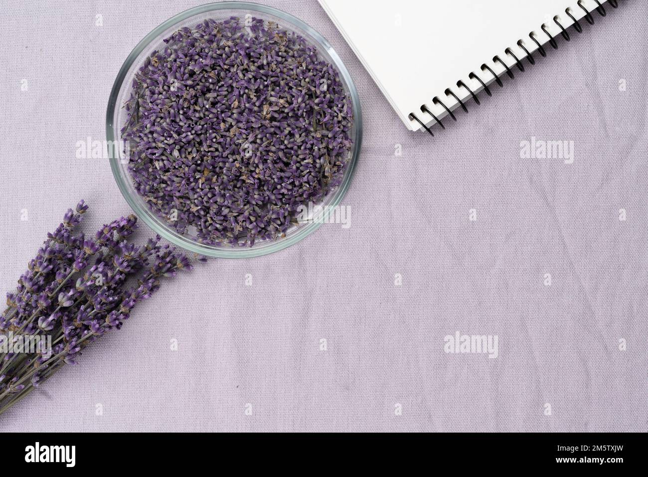 Adaptogen plant flower hi-res stock photography and images - Alamy