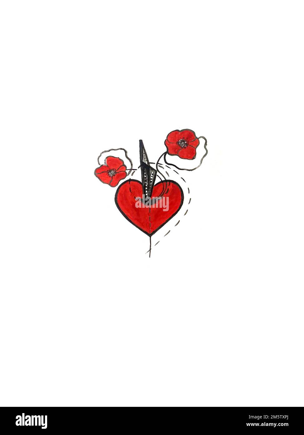 Isolated on white background Watercolor drawing with red flower poppy ...