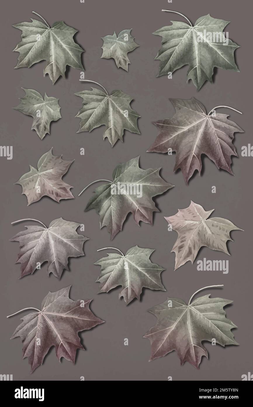 Hand drawn autumn maple leaf collection vector Stock Vector Image & Art ...