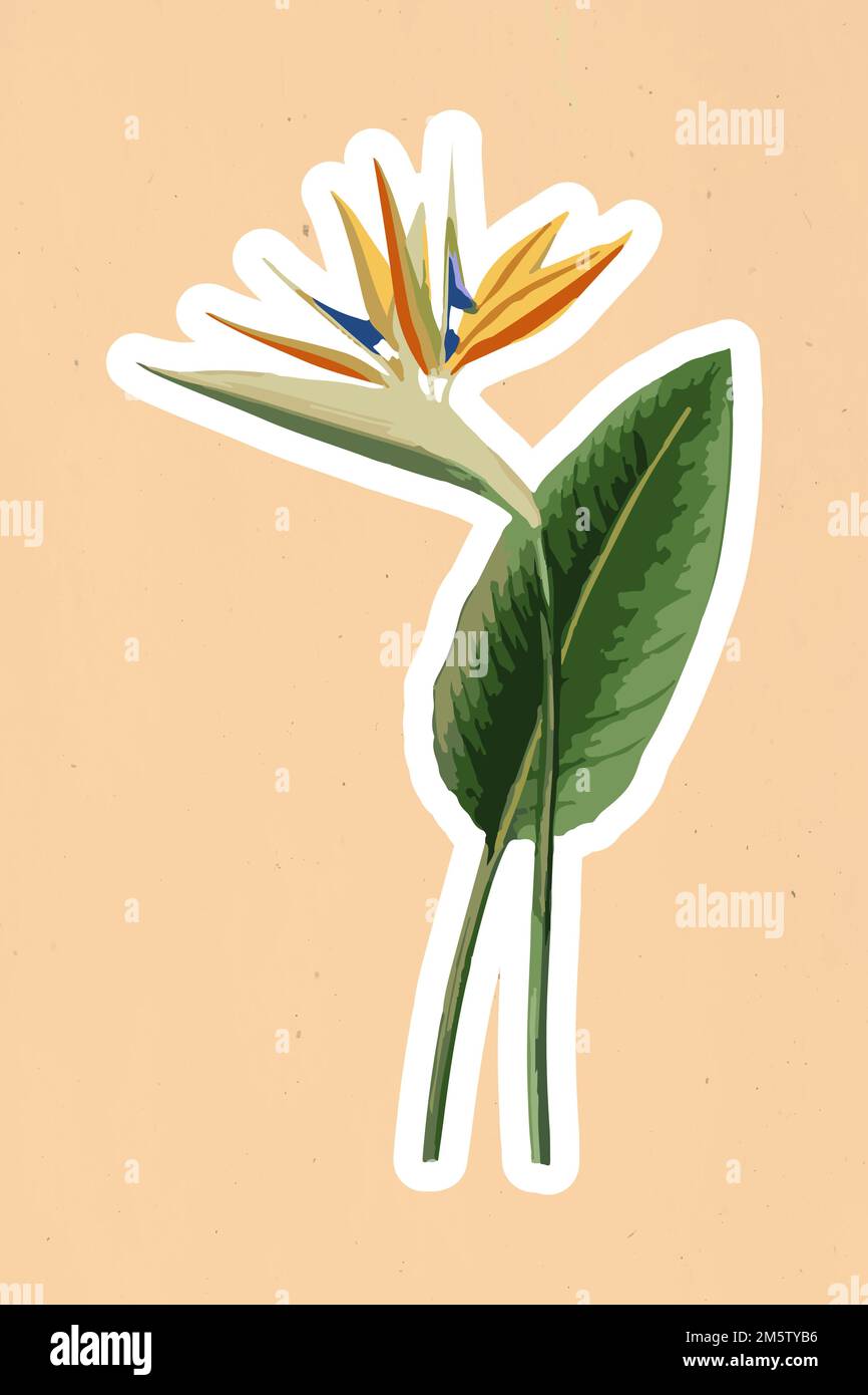 Vectorized bird of paradise sticker overlay with a white border design ...