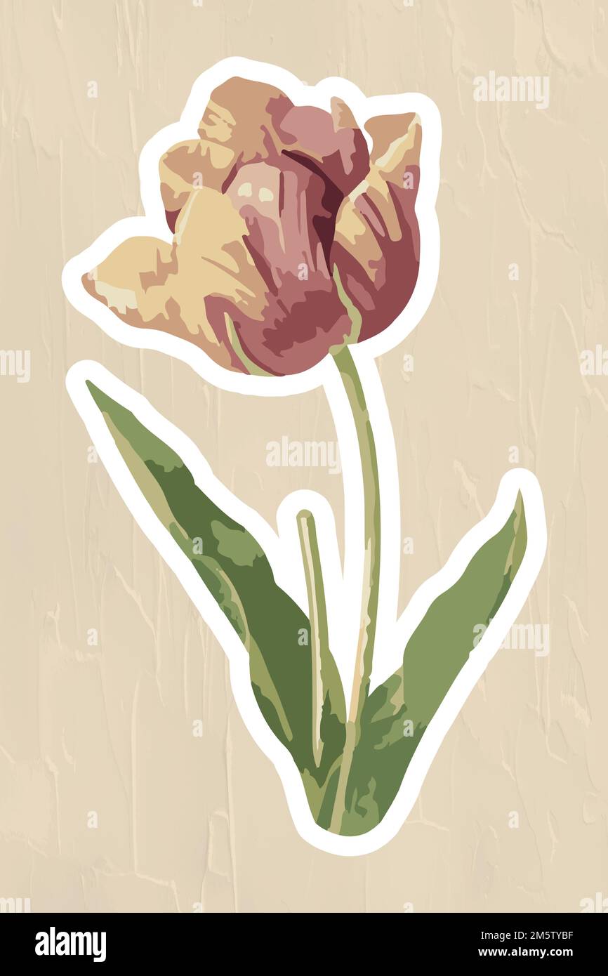 Vectorized tulip flower sticker overlay with a white border design ...