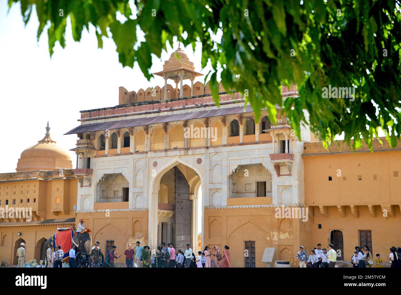 Amer Fort or Amber Fort is a fort located in Amer, Rajasthan, India ...