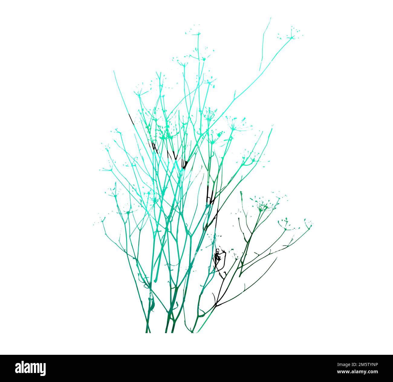 Vector green watercolor natural, organic, bio, eco label and shape ...