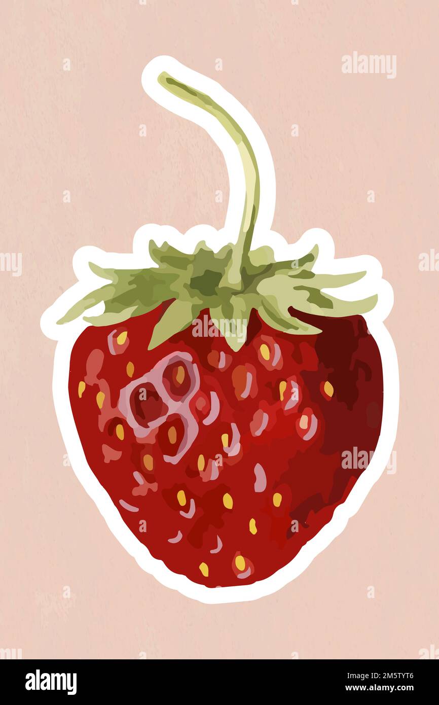 Vectorized strawberry fruit sticker overlay with a white border on a ...
