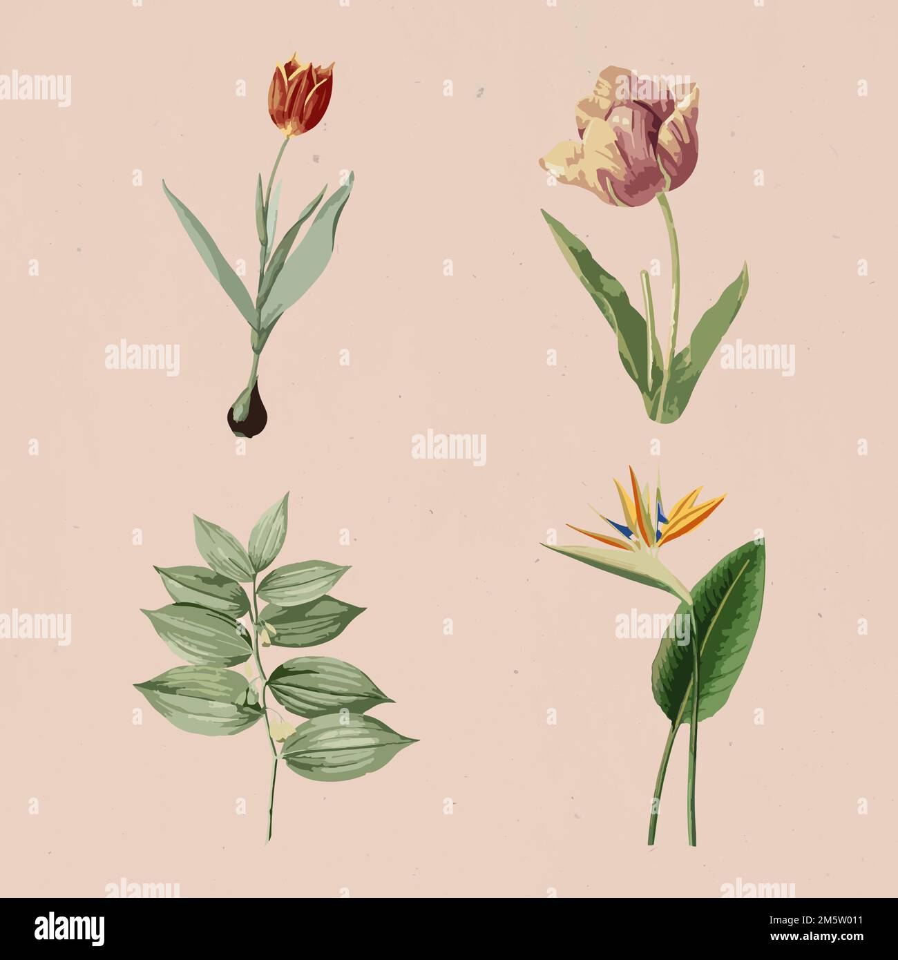 Vectorized flowers hi-res stock photography and images - Alamy