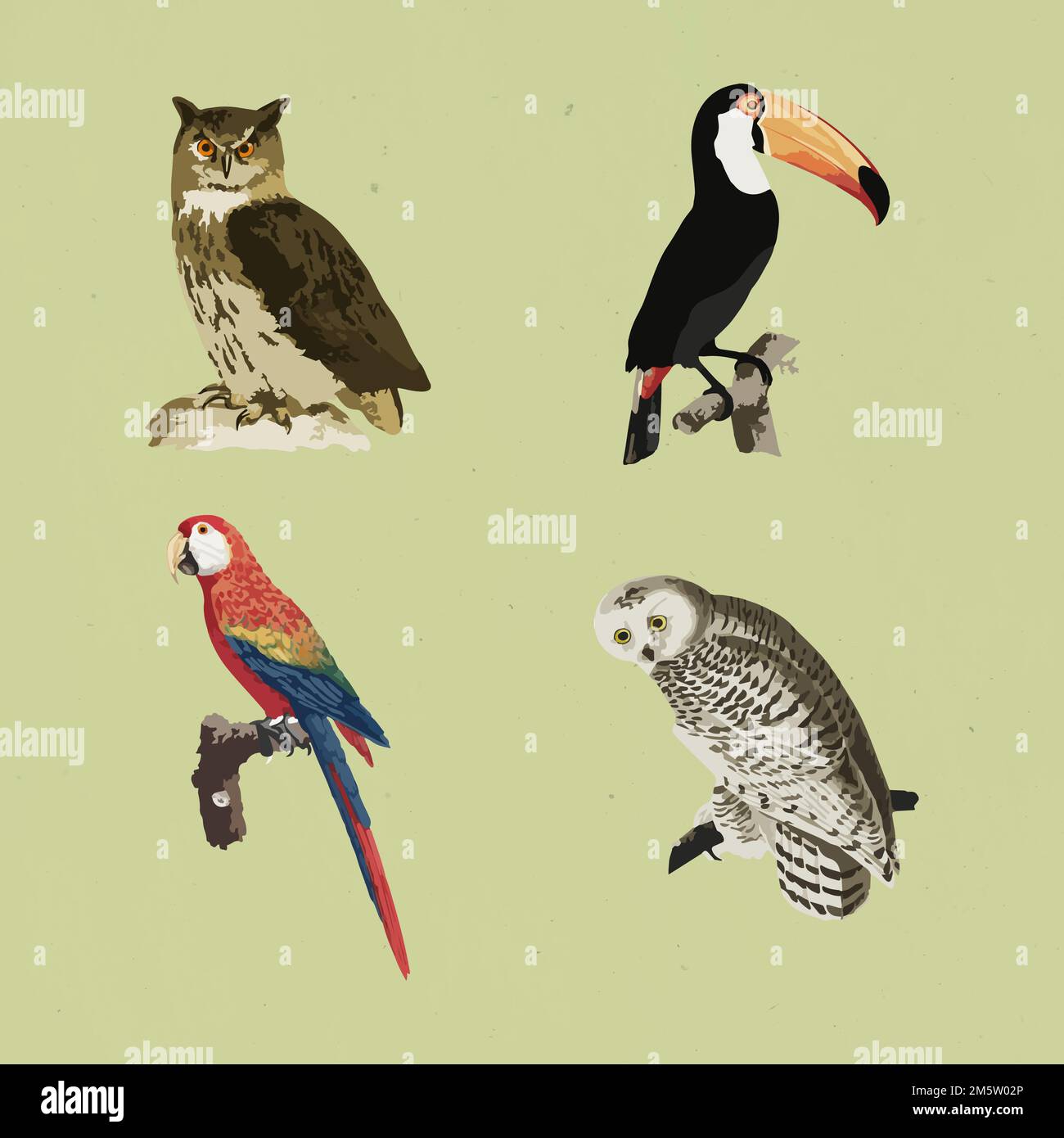 Vectorized artwork hi-res stock photography and images - Alamy