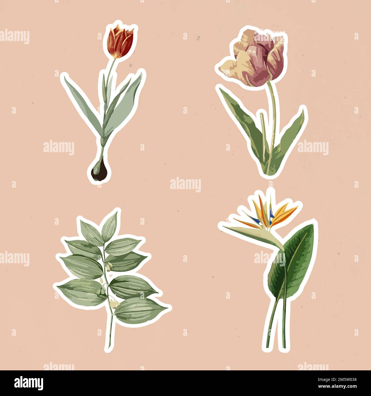 Vectorized flowers hi-res stock photography and images - Alamy
