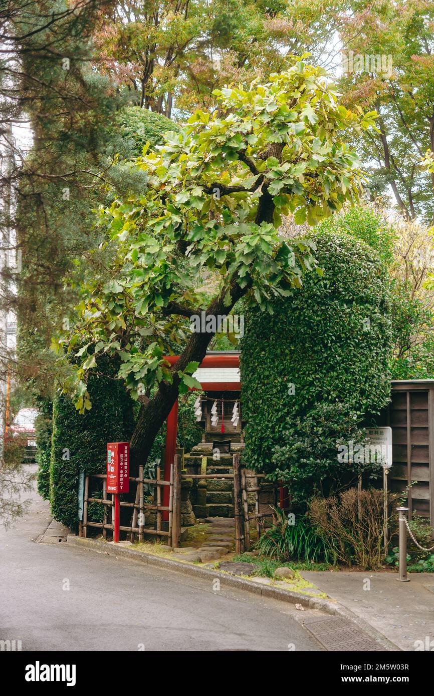 Shinto tradition hi-res stock photography and images - Alamy