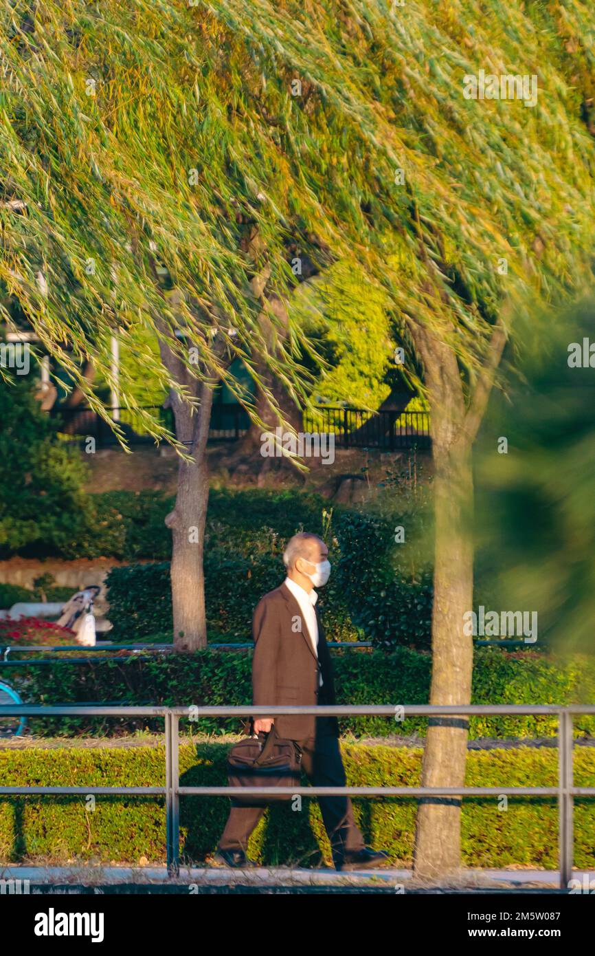 Man in mask walking under the leafs of willow trees Stock Photo - Alamy