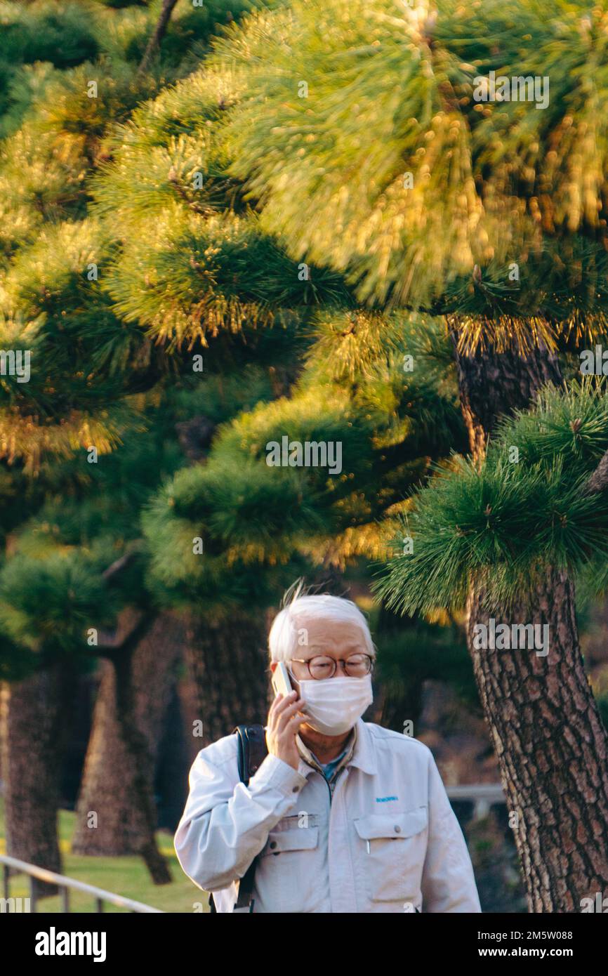 An elderly man talking on the phone among pine trees Stock Photo - Alamy