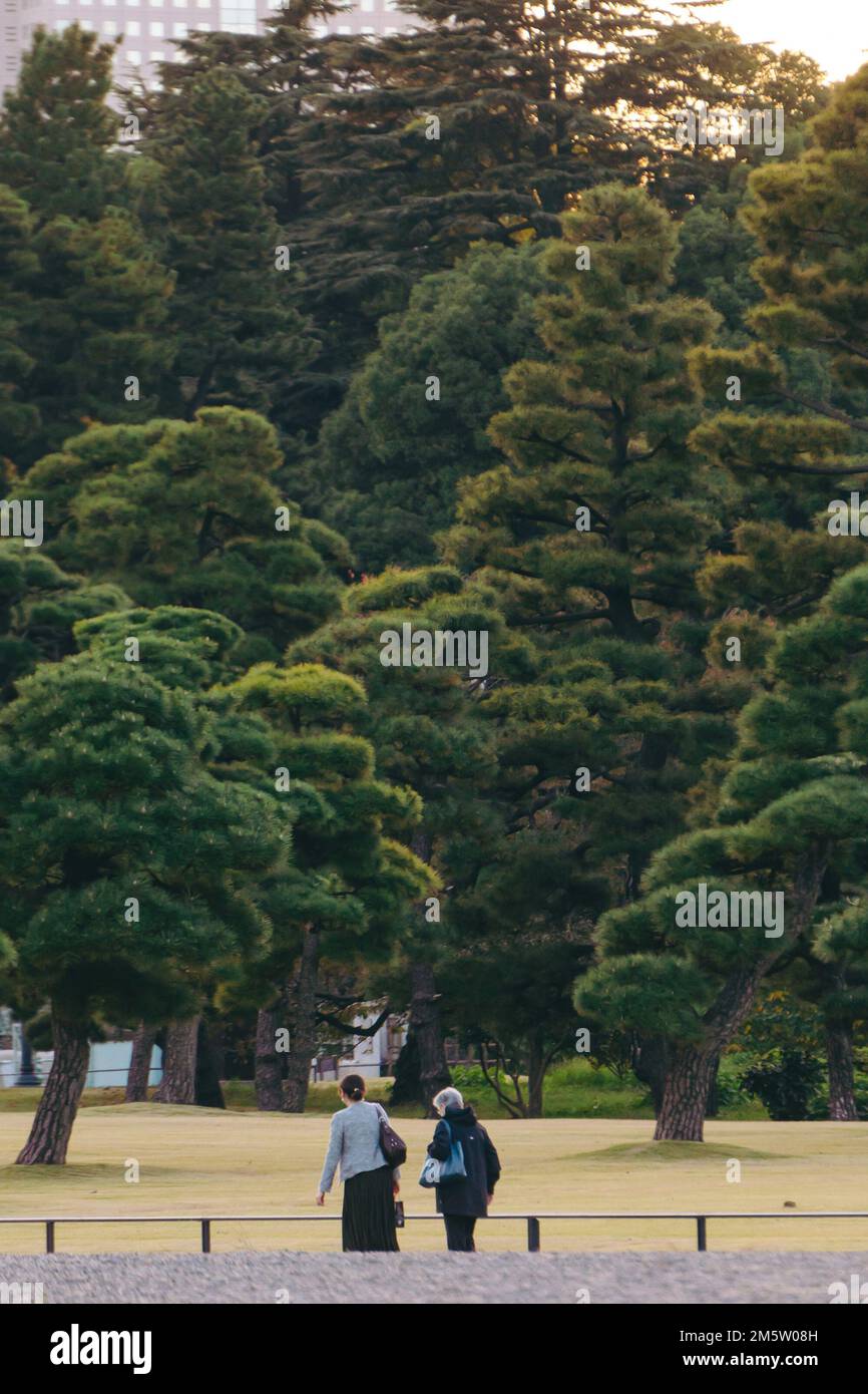 Two ladies walk in park hi-res stock photography and images - Alamy