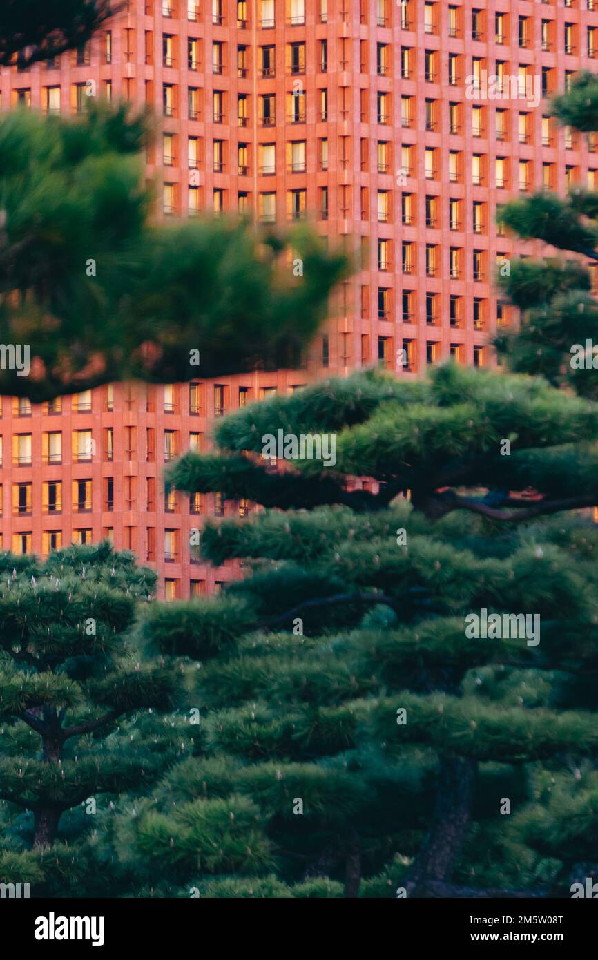 Contrast between nature and architecture Stock Photo - Alamy