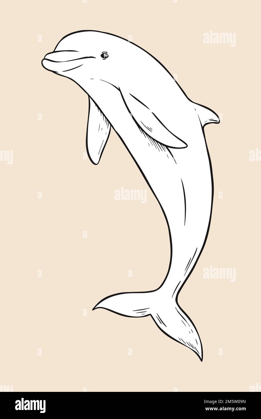 Vector dolphin vintage black and white clipart Stock Vector Image & Art ...
