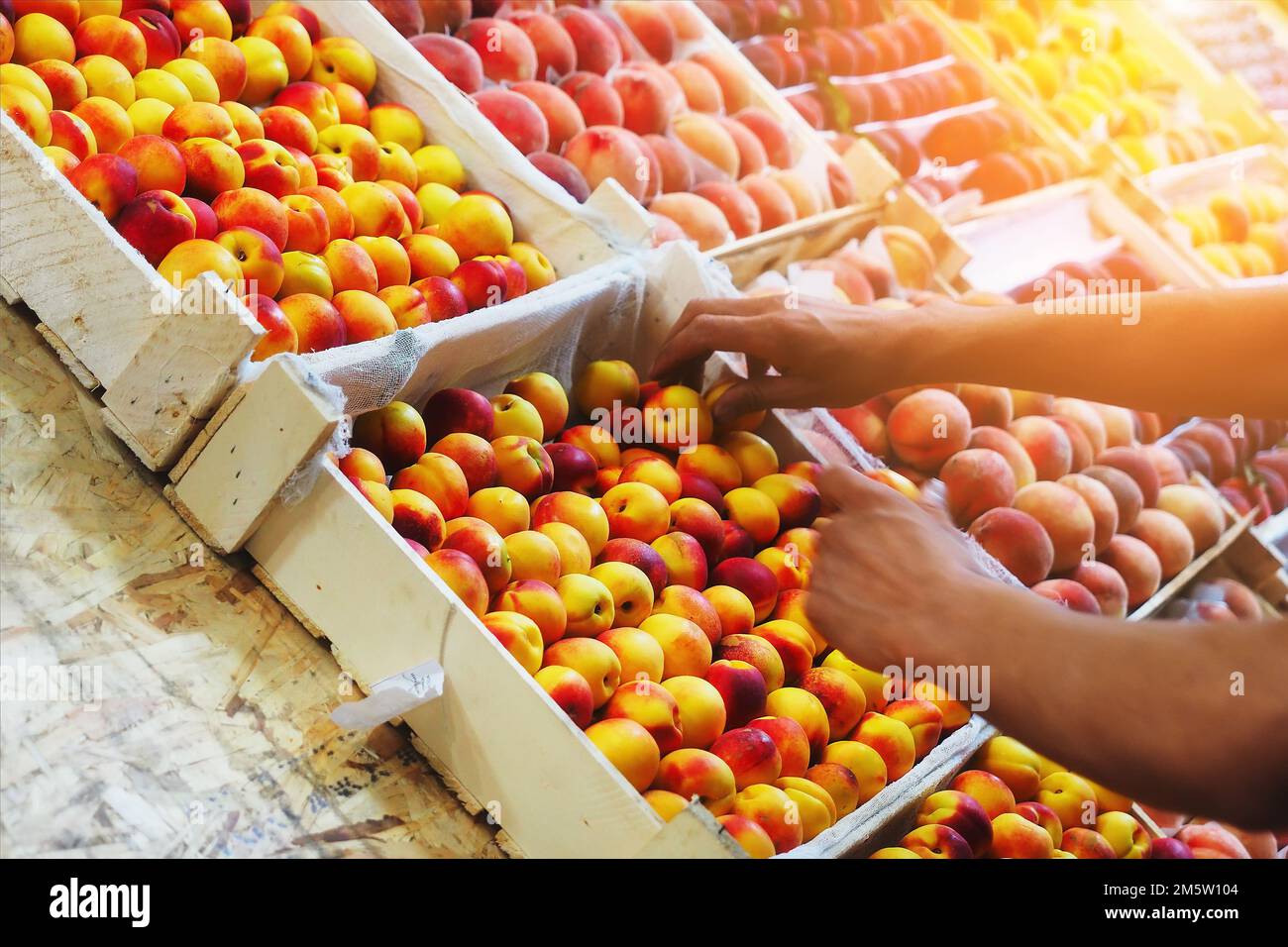 Fruit trade in bazaar. Seller puts peaches and apricots in wooden boxes ...